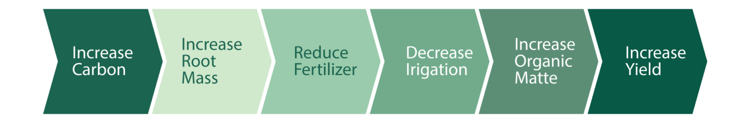 Bioferti – Microbe Fertilizer