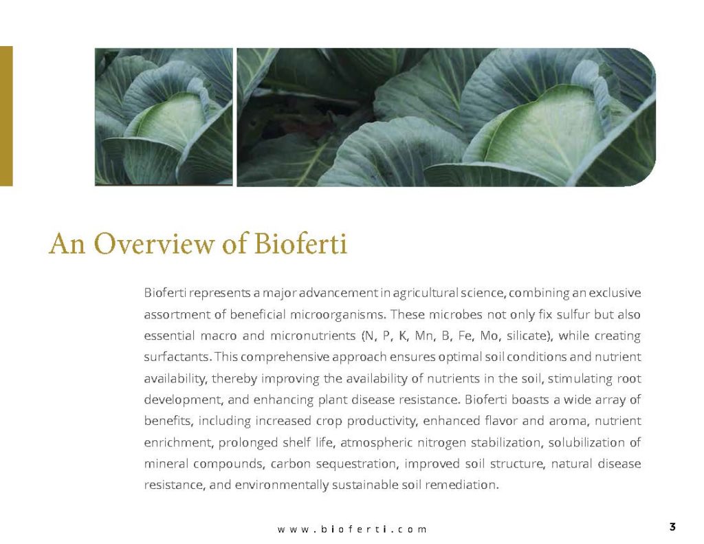 BIOFERTI VS. CHEMICAL FERTILIZERS REVOLUTIONIZING MODERN AGRICULTURE ...